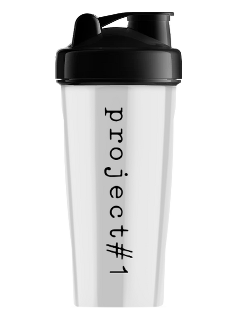 Shaker Project#1
